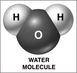 Water is the universal solvent in biological systems, so what does this ...